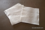 Napkin - Ten Random Facts